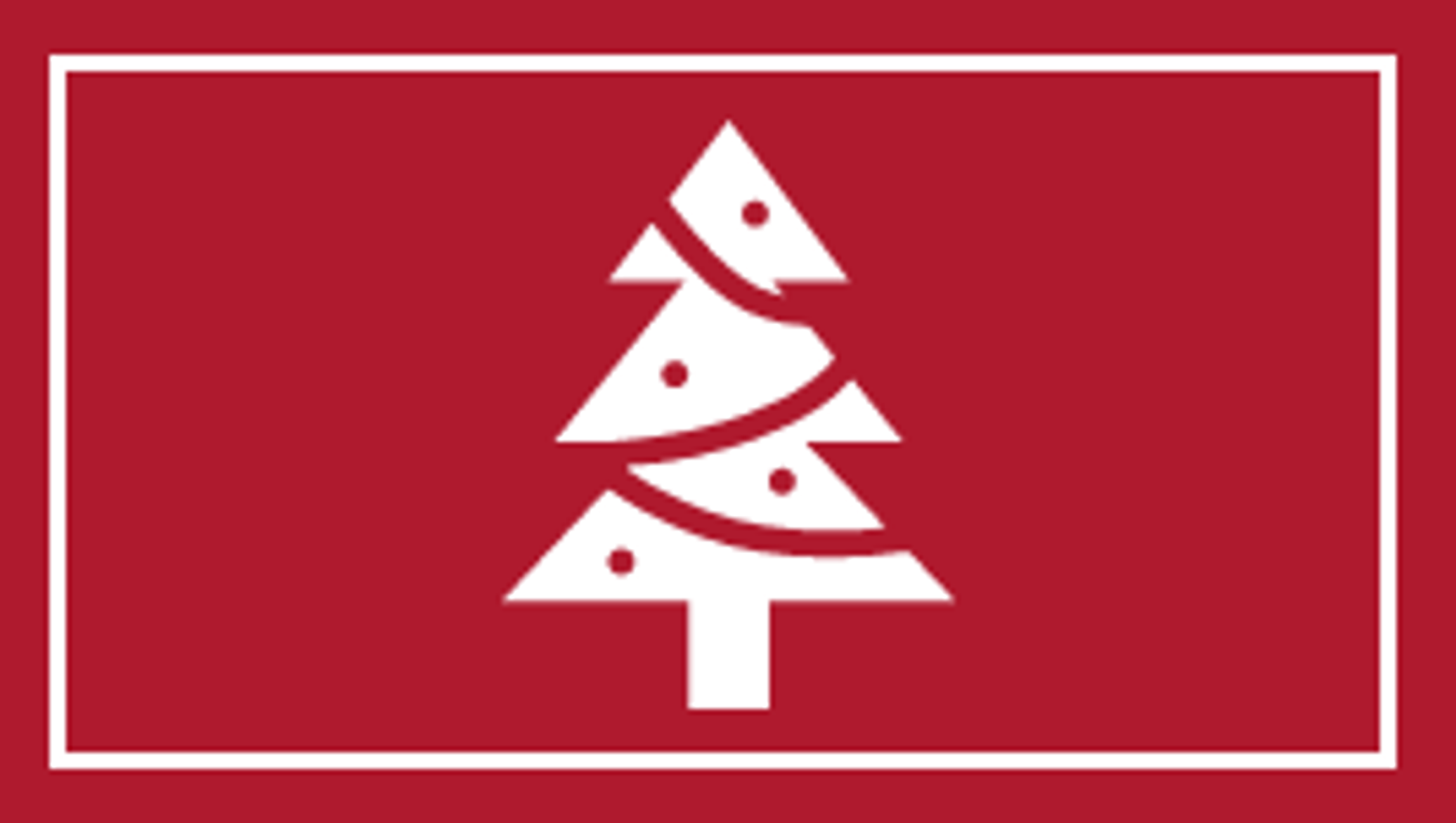 Bakıda Yeni il bayramı üçün bəzəklər və ağaclar neçəyə başa gəlir? - 23 ...